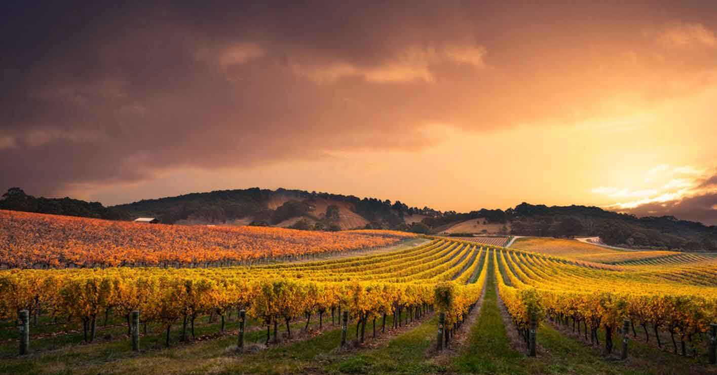 Vinoforever - Maheveinid tunnustatud veinimajadest